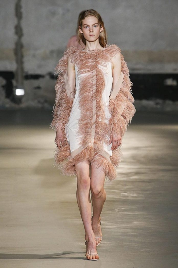 Lông vũ là gì? Đặc điểm, Ứng dụng và Cách giặt đồ lông vũ bền đẹp ...